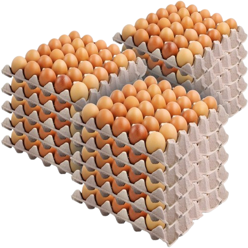 Farm Fresh Eggs Bulk Crate Supply (30 Eggs per Crate) - Folorunso Super ...
